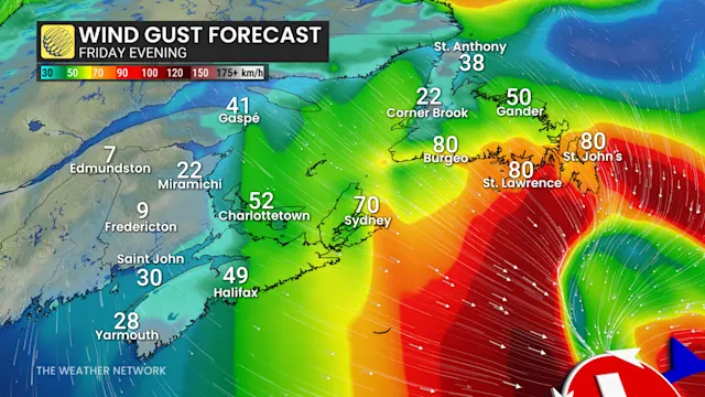 Boxing Day storm brings heavy snow, wind and travel risks to ...
