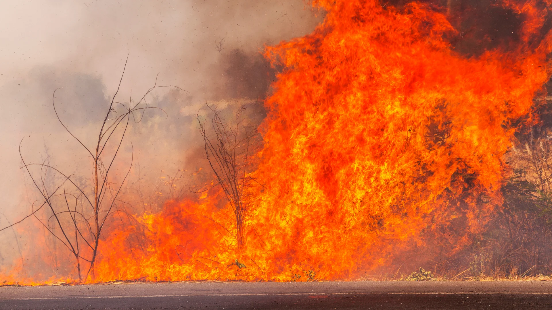 Wildfires can create their own weather, including thunderstorms and ...