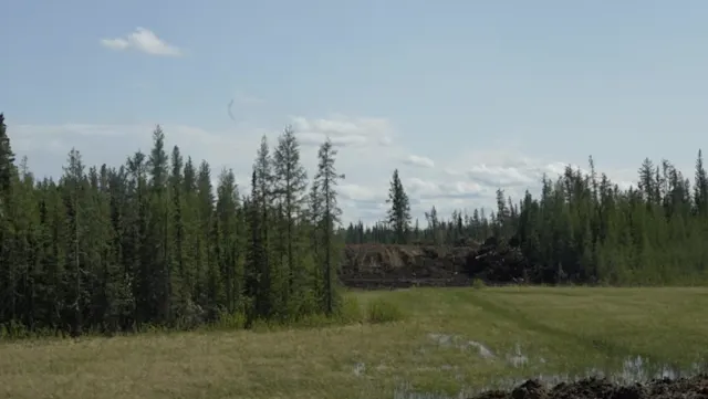 How thinning out trees for dirt, grass and shrubs is part of fighting ...