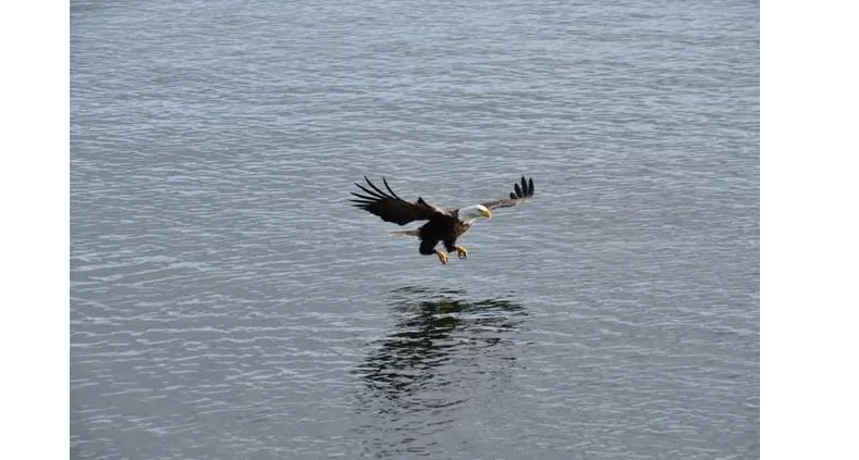 There's a beautiful story behind this photo - The Weather Network