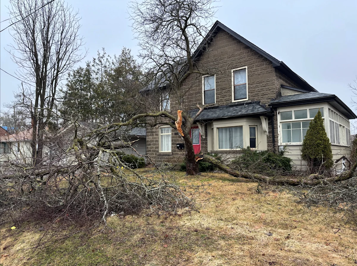 Destructive spring ice storm, second-worst wildfire season ever among ...