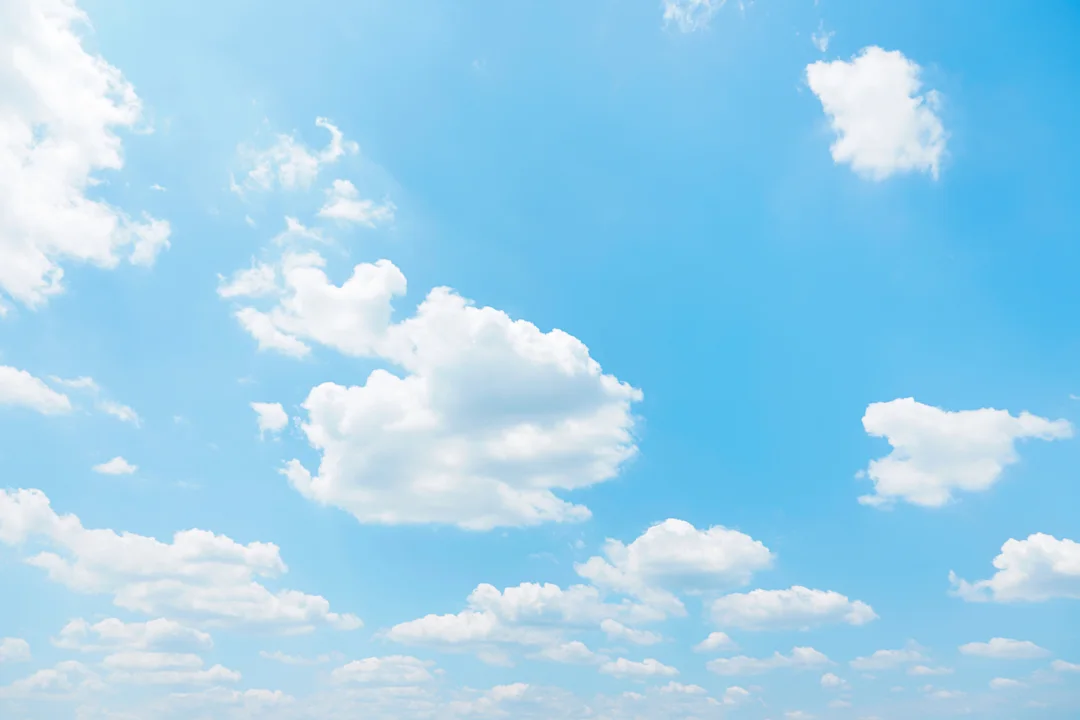 Tomorrow's Weather Edmonton (Jan 06): Cold Start, Clear Afternoon - The ...