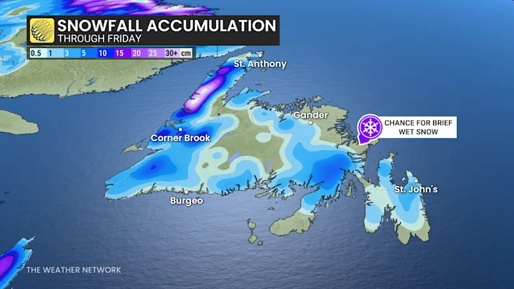 High winds, waves continue as low slowly drifts north of Newfoundland ...