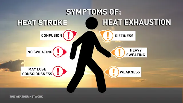 Oppressive heat poses health risk in Atlantic Canada, could topple ...