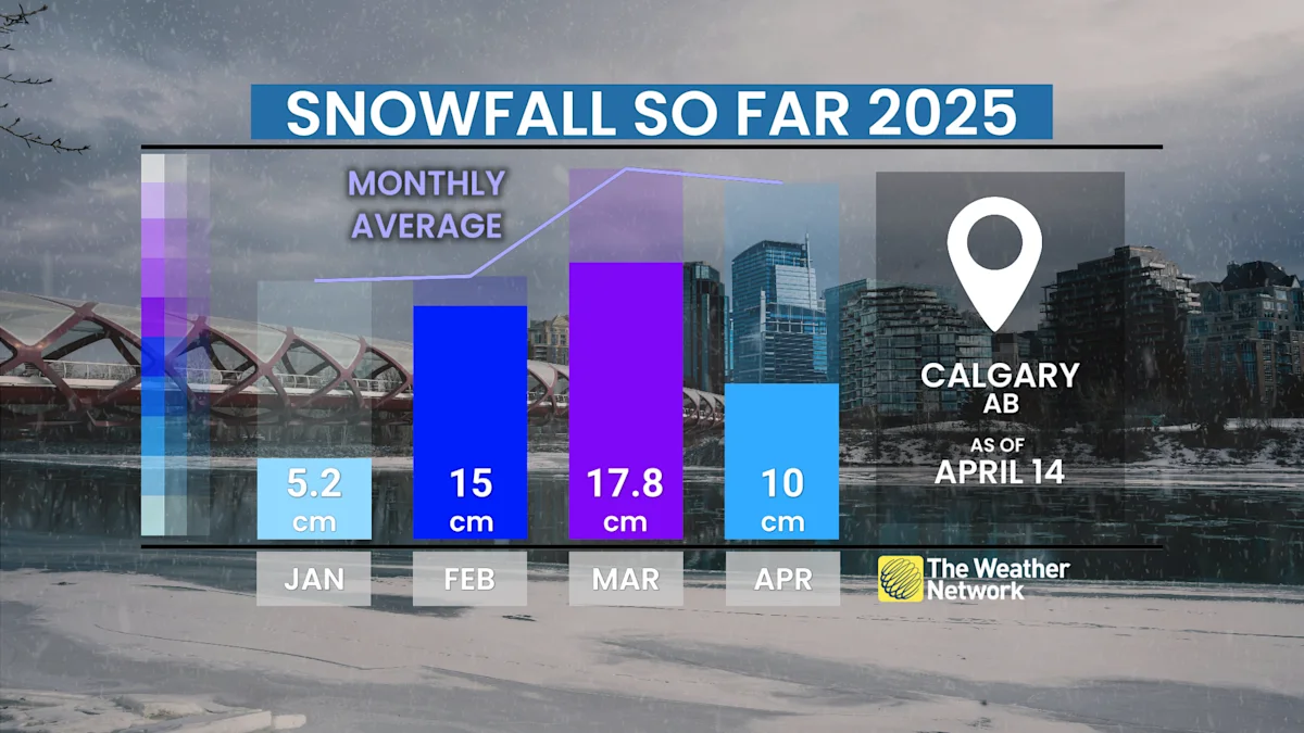 Snowfall warnings for up to 20 cm of spring snow in southern Alberta - The Weather Network