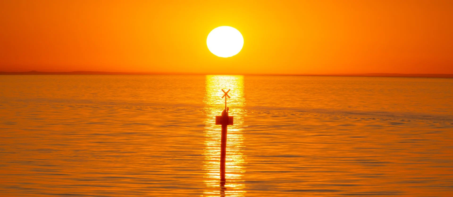 Marine heat waves are sweeping the seafloor around North America - The ...