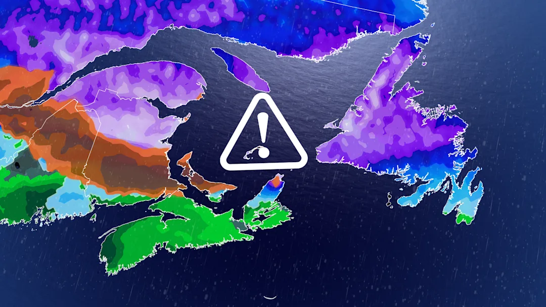 Impactful, messy winter storm targets East Coast - The Weather Network