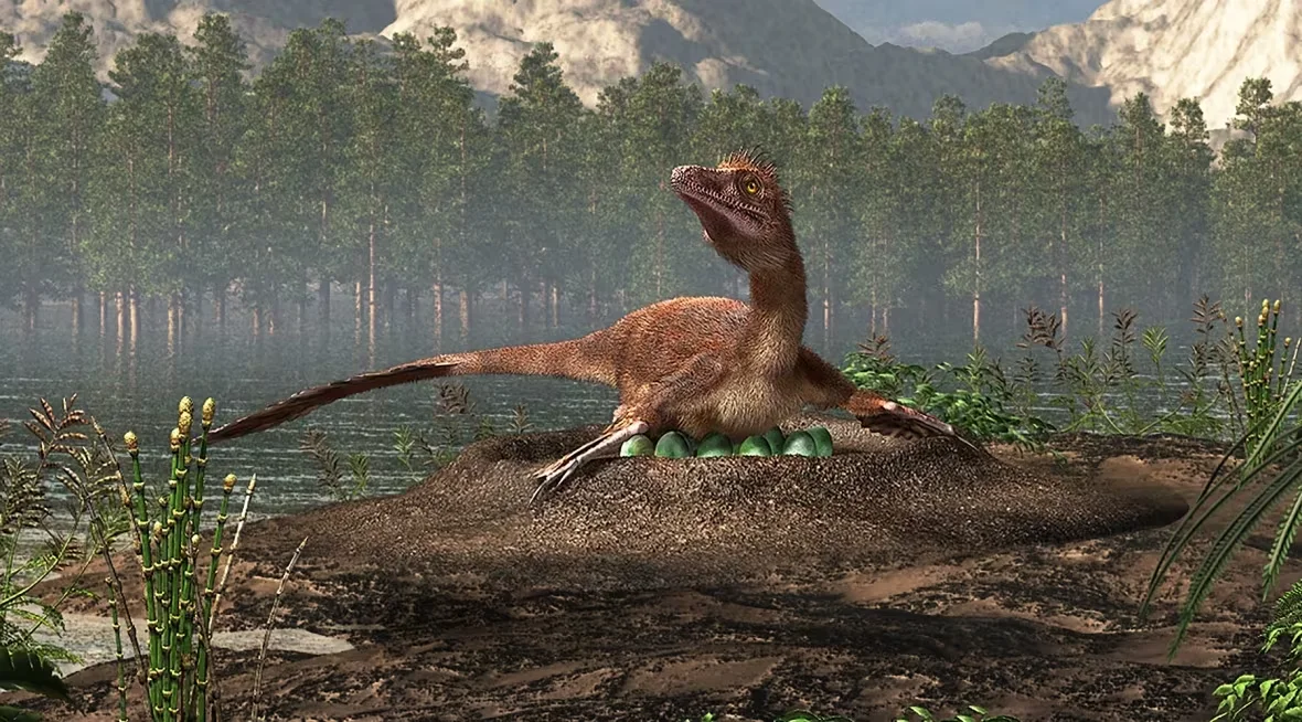 What fossil eggs found in Alberta reveal about how dinosaurs became ...