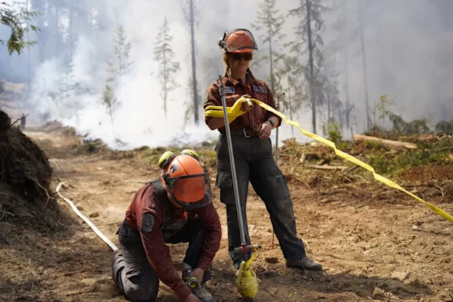 Lightning-caused fires to persist, BC Wildfire Service says - The ...