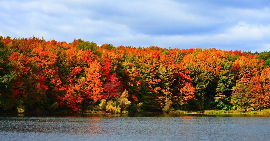 Brampton's weather forecast for October 24: Mixed sun and clouds today ...