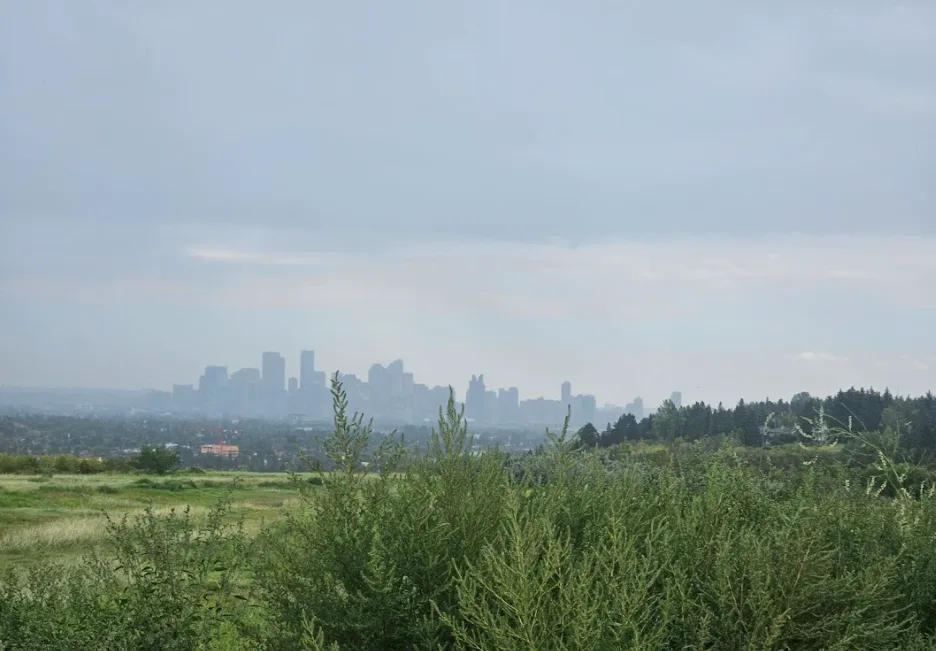 Destructive hailstorms carved 400+ km scar on the Prairies - The ...