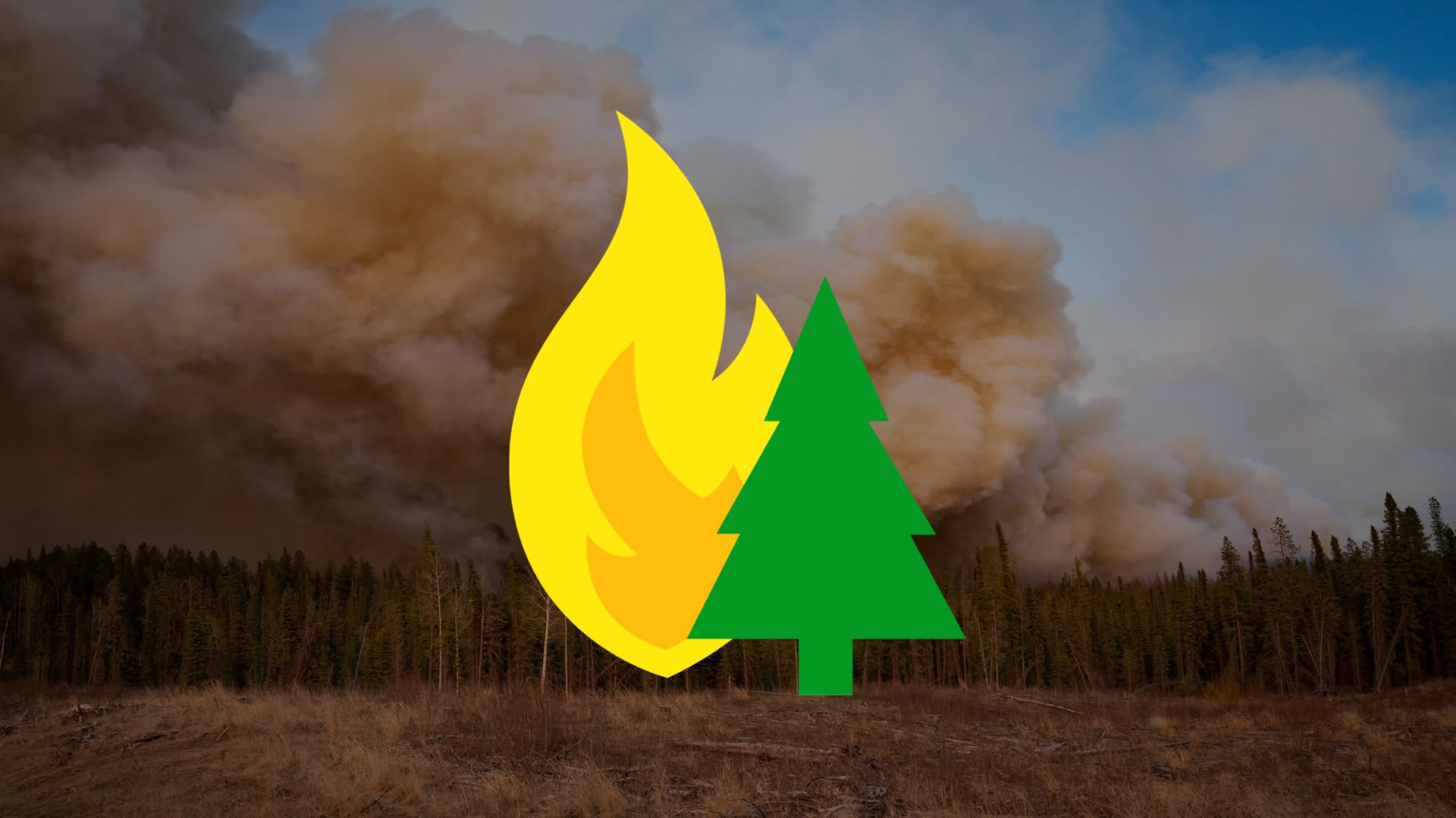 Feux de forêt : risque extrême pour cette région du Québec - MétéoMédia