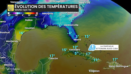 Gel et neige en Floride : une première en 36 ans possible - MétéoMédia