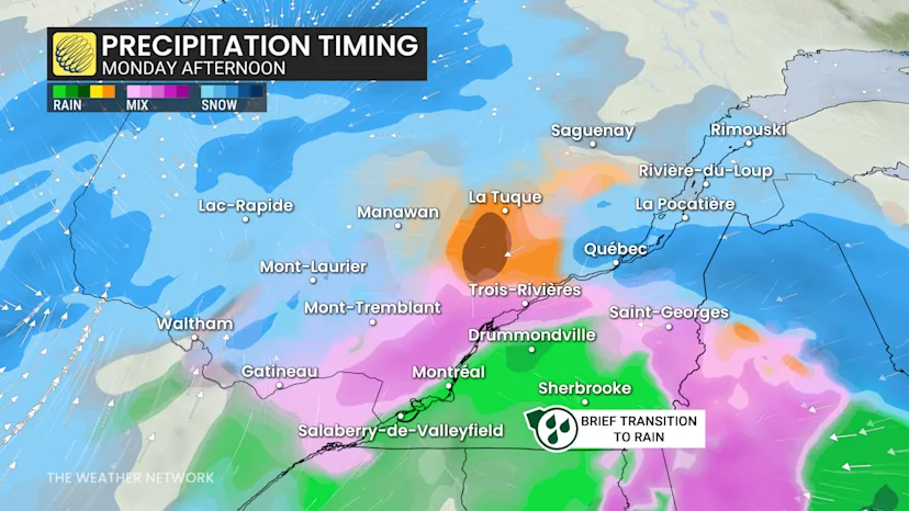 Winter storm impacts southern Quebec, outages climb - The Weather Network