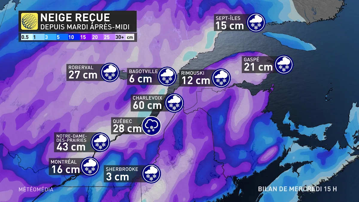 Jusqu'à 50 cm de neige, routes fermées : la tempête frappe fort ...