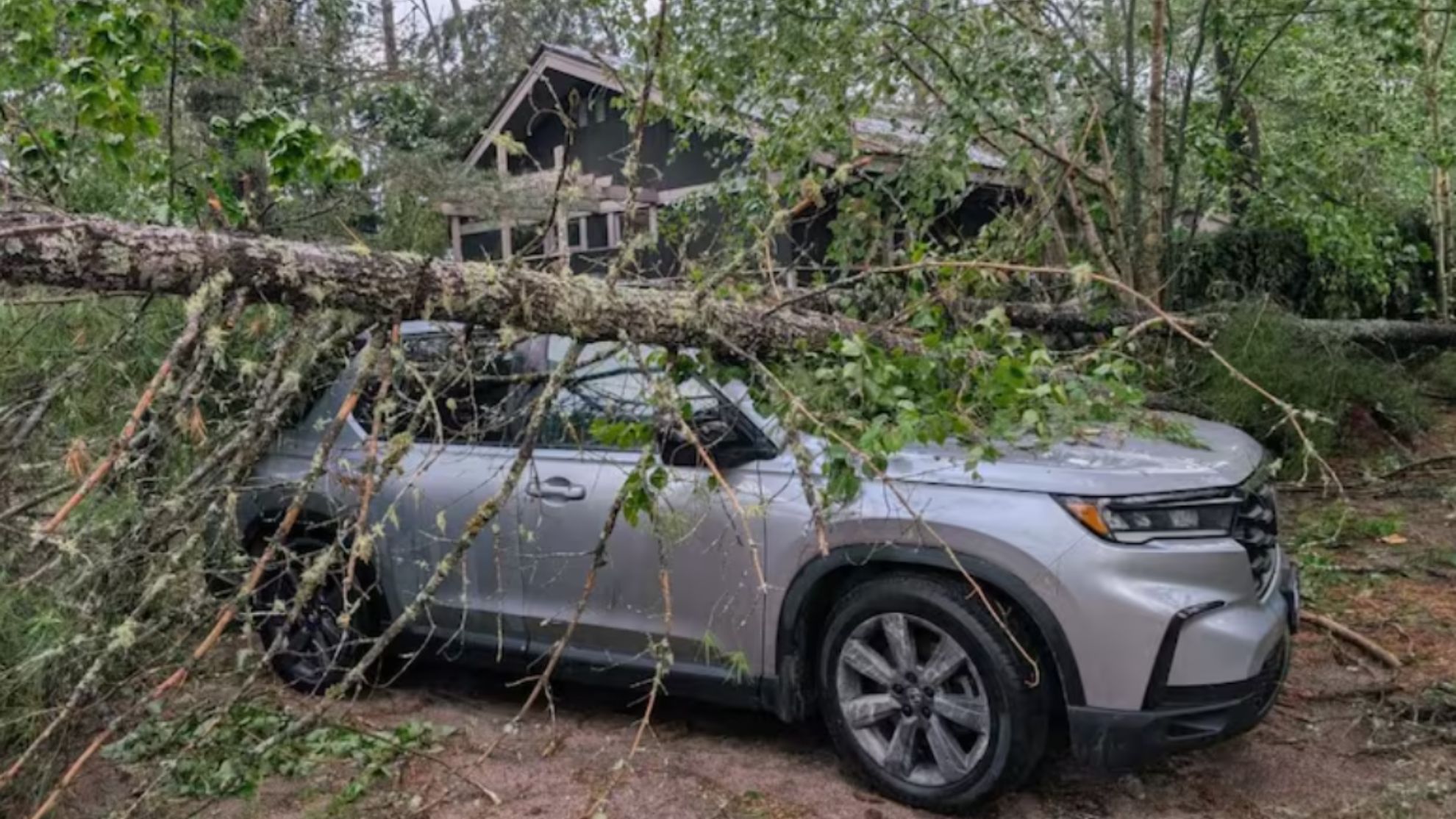 Storm downs trees, knocks out power in Mattawa, Ont., area - The ...