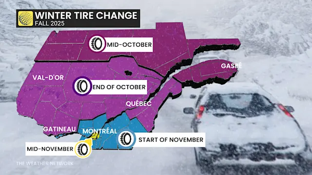 Winter tires: Don't be caught off guard in Quebec - The Weather Network