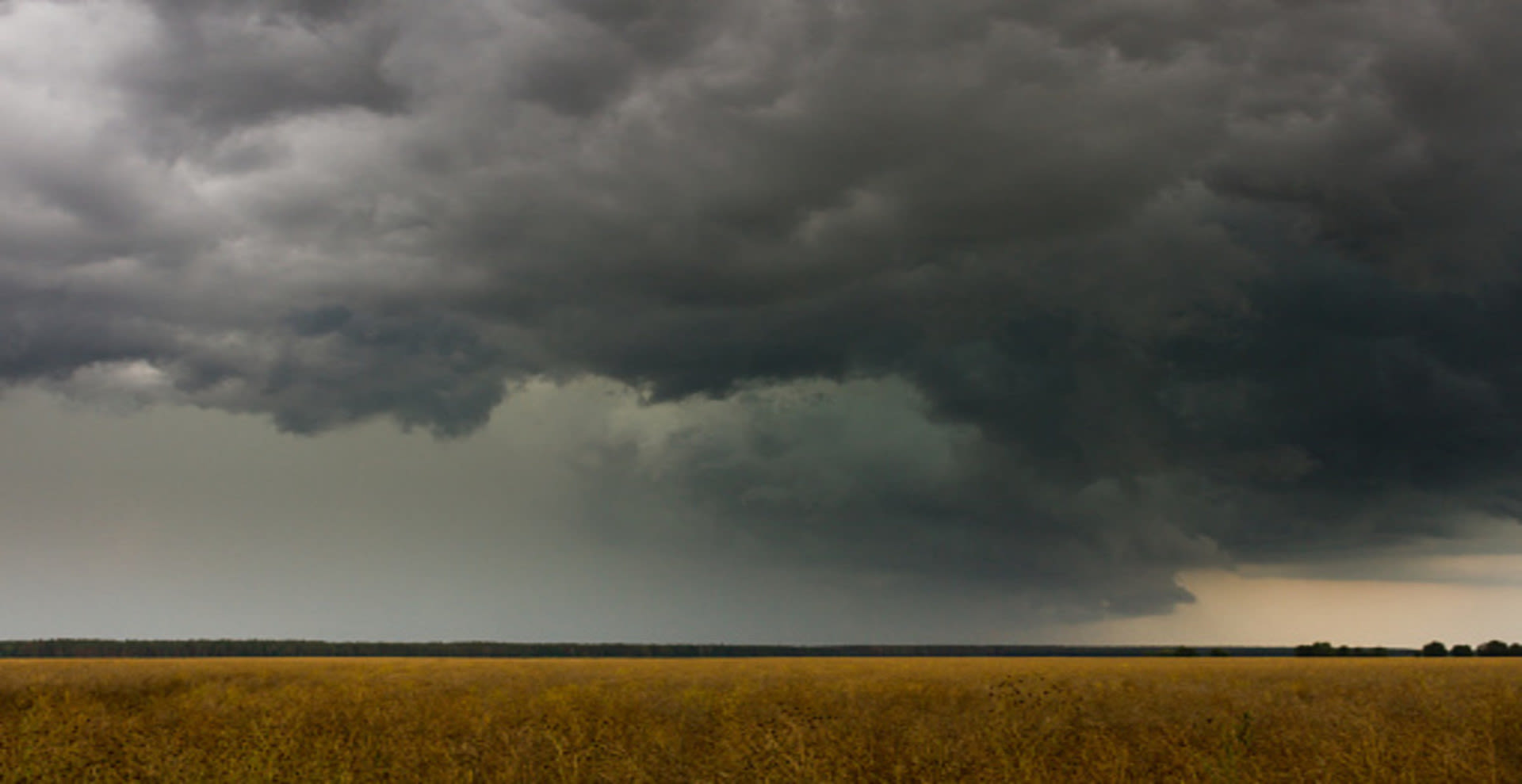 Clouds are spreading antibiotic-resistant bacteria around the world ...