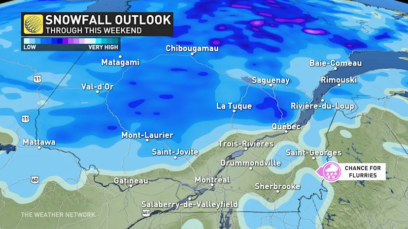 Planters beware: Looming frost threat across Ontario and Quebec - The ...