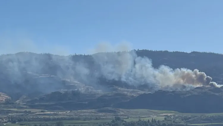 Wildfire on Vancouver Island grows aggressively, knocking out power for ...