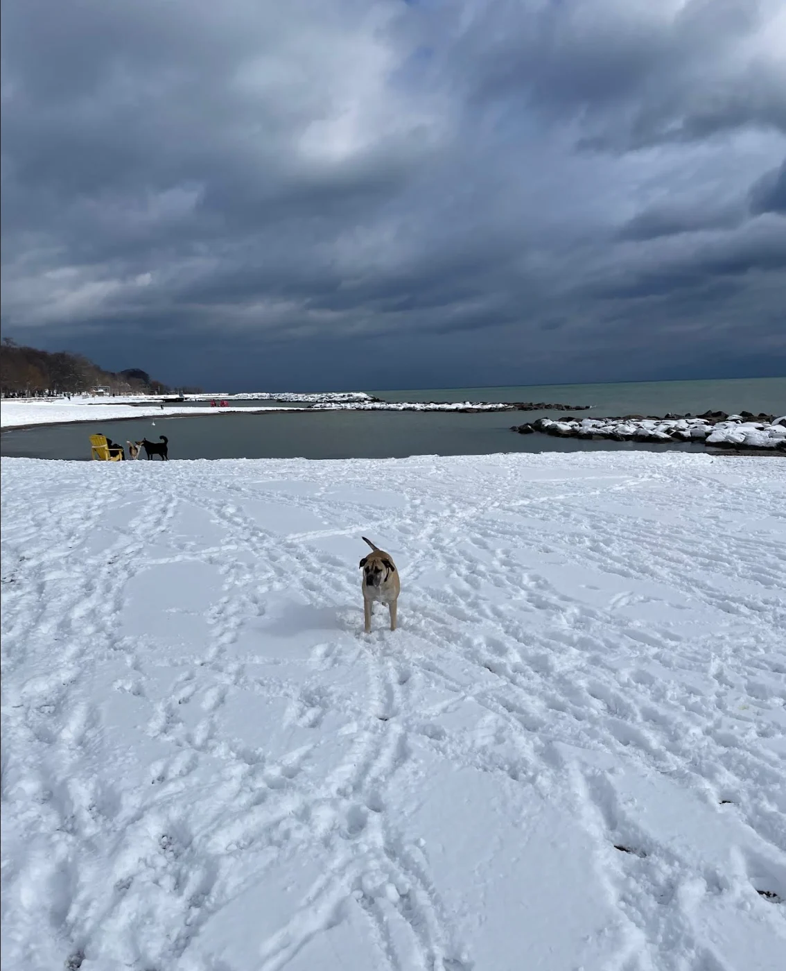 PHOTOS: GTA, Toronto hit by their biggest snowfall of the winter so far ...