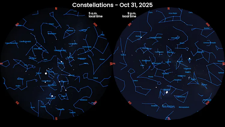 Meteor showers and the Harvest Moon light up our October night skies ...