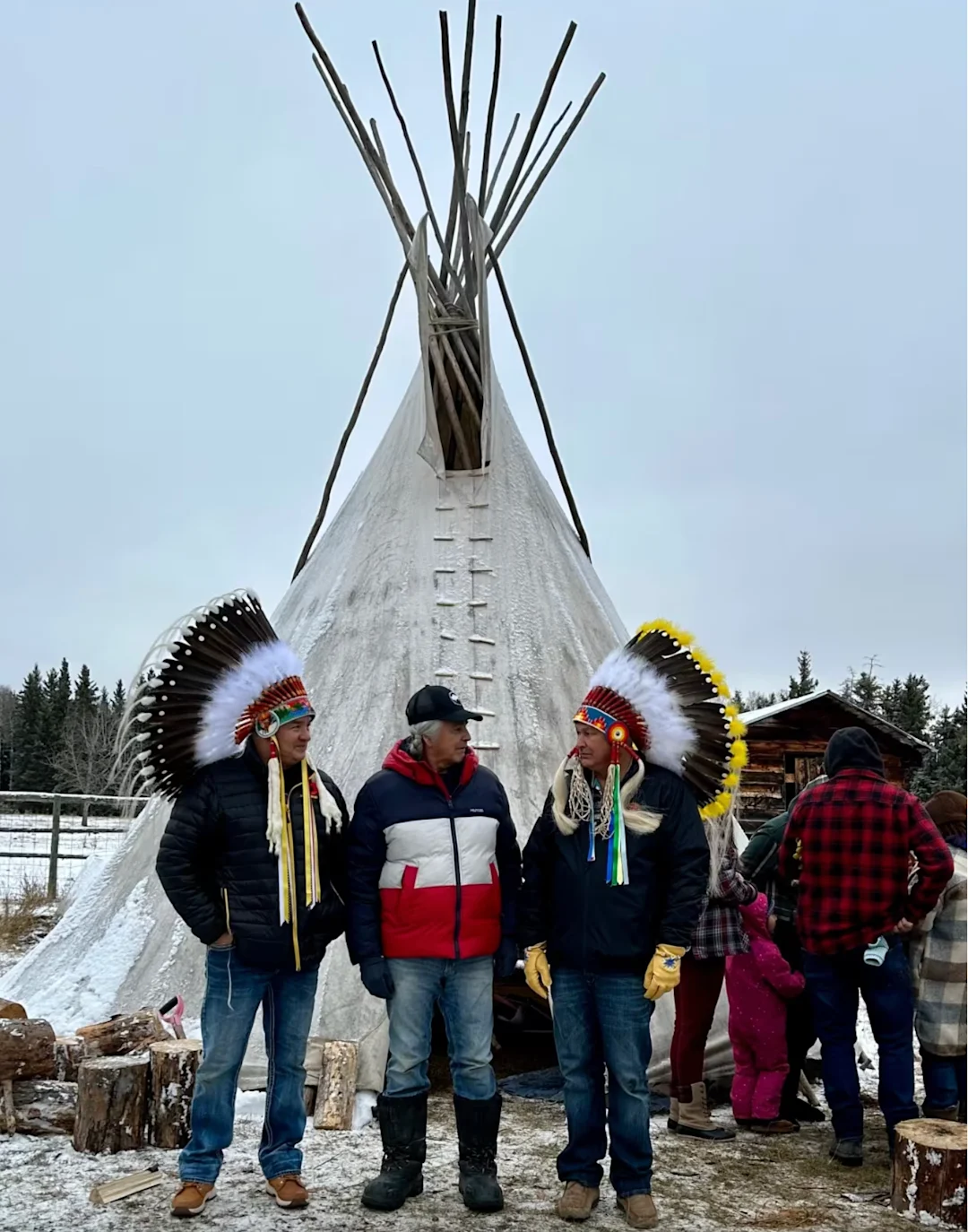 Bison roam on Pelican Lake First Nation again thanks to act of ...