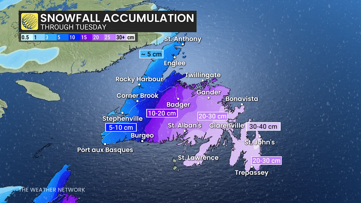 St. John's metro schools closed as winter storm slams parts of ...