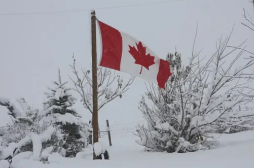 What is the polar vortex? How it’s responsible for dangerous cold - The ...