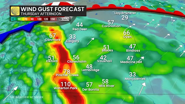 Brace for snow and winds with big temperature drop in Alberta - The ...