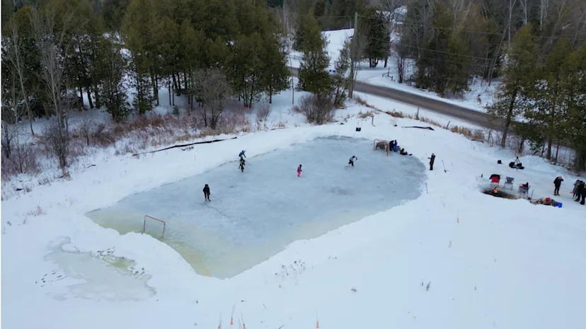 How Canada’s hockey rinks are helping wildlife - The Weather Network