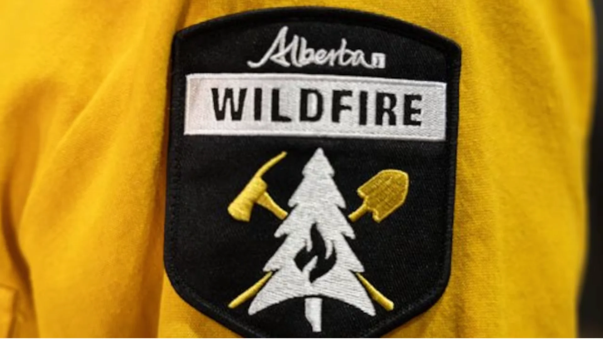 10-20 cm of snow and thunderstorms mark Alberta's wild long weekend ...