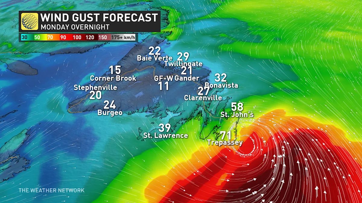 Ernesto's soaking rains, high surf to impact Newfoundland through ...