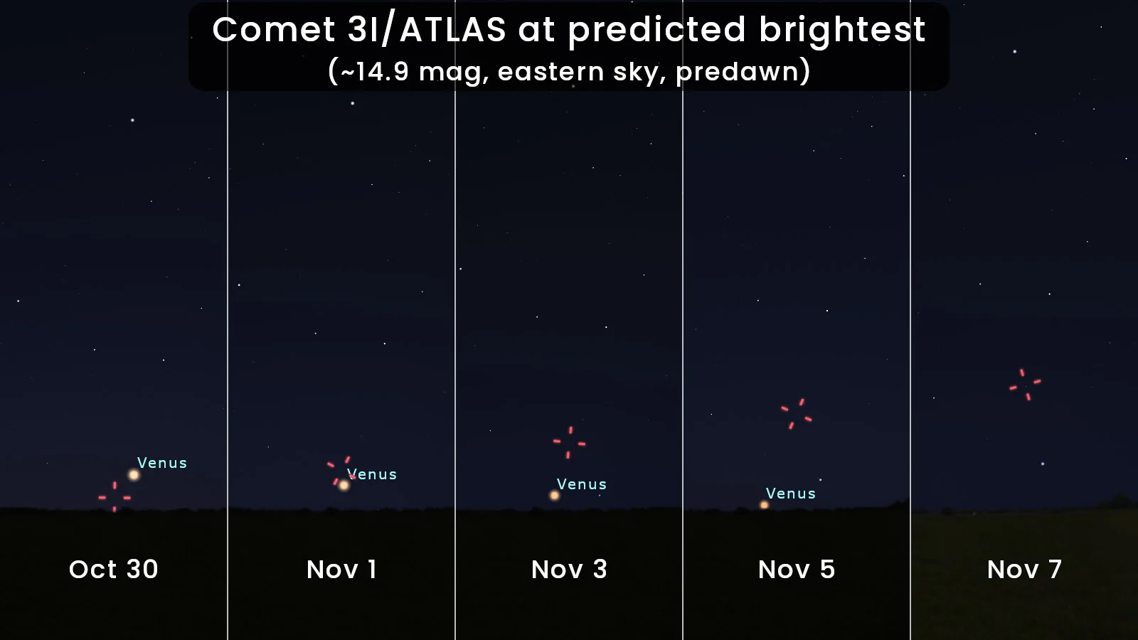 A meteor storm and an alien comet could be the 'stars' in the sky this ...