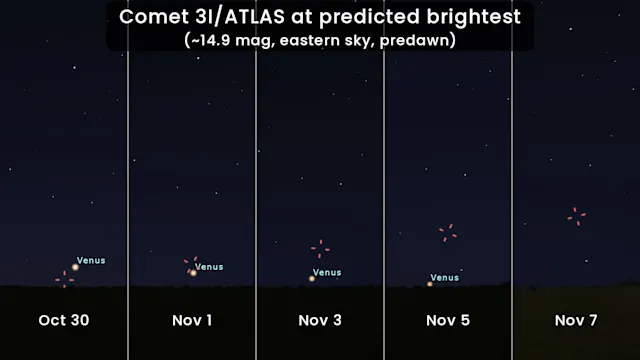 A meteor storm and an alien comet could be the 'stars' in the sky this ...