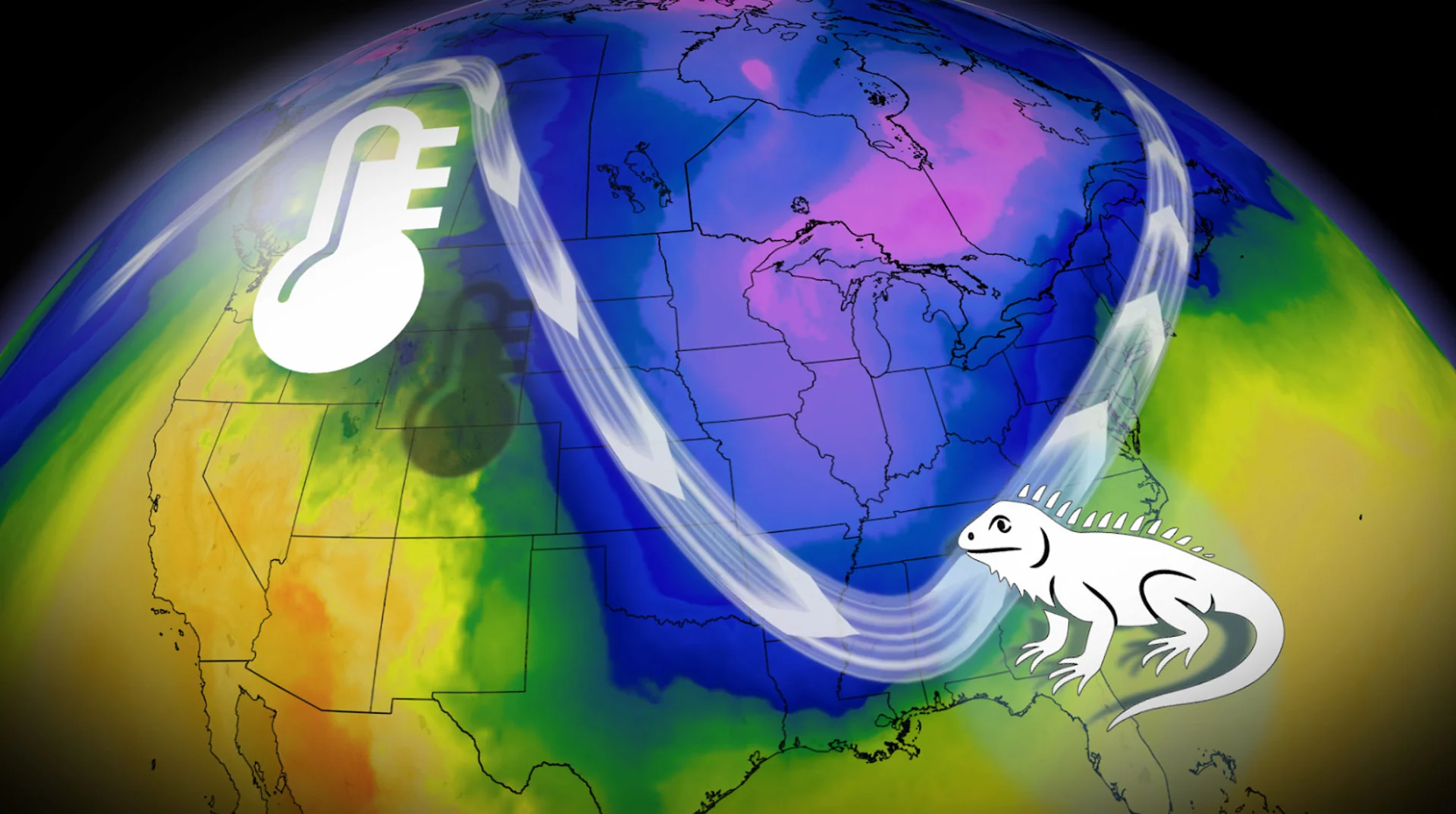 Florida on alert for falling iguanas as cold hits the south - The ...