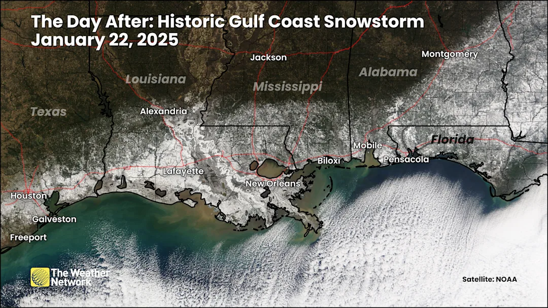 See the astounding satellite images of Florida’s historic snow - The Weather Network