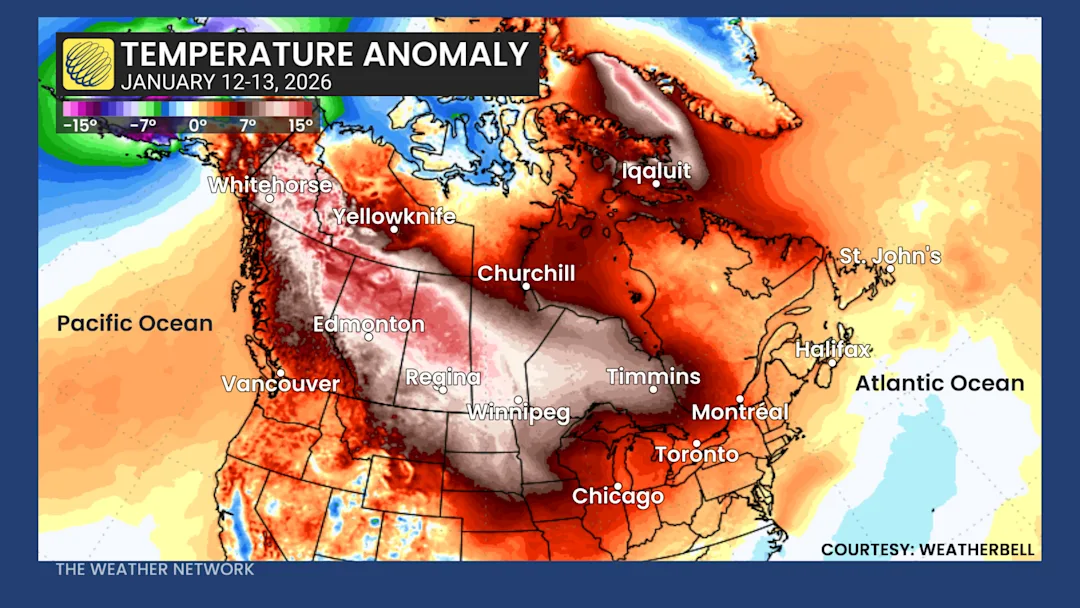 Why this year's January warm-up is more of a problem than relief - The ...