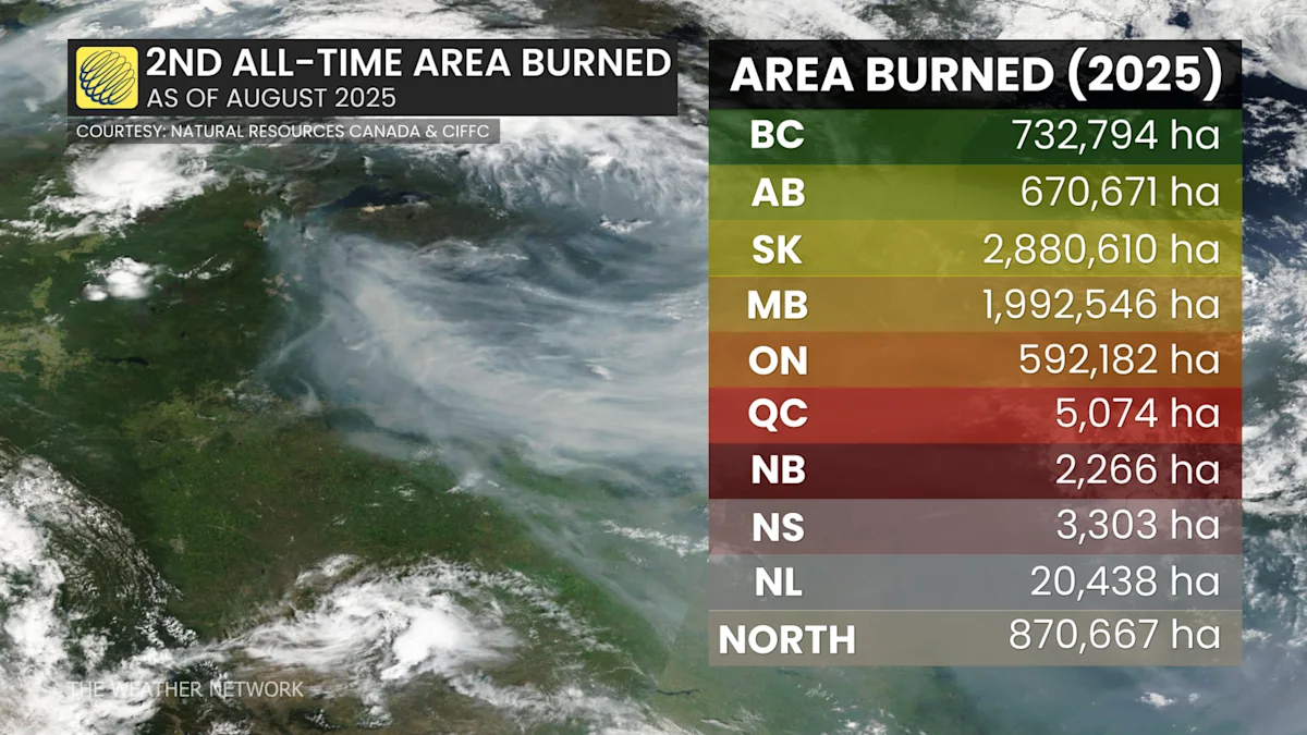 See the aftermath of Canada’s prolific fires from space - The Weather ...