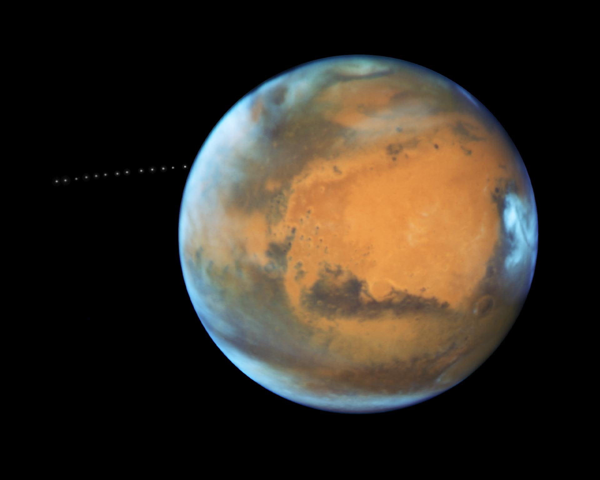 Stupéfiant : cet animal pourrait vivre sur Mars - MétéoMédia