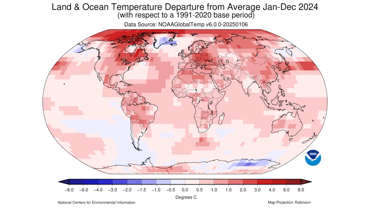 2024 is the new hottest year on record, first year to exceed 1.5C - The ...