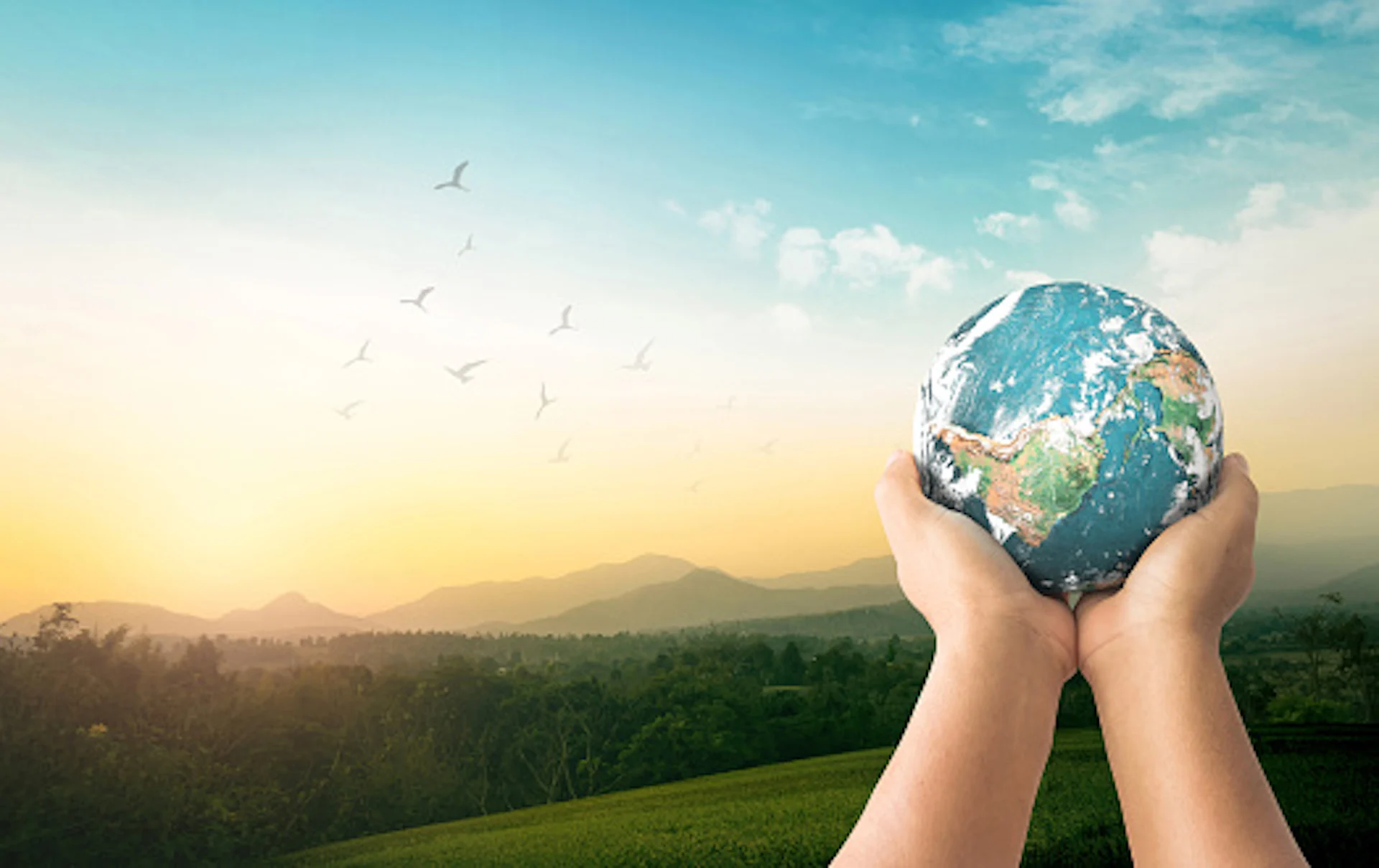 Earth Hour offers climate solutions beyond turning off the lights - The ...
