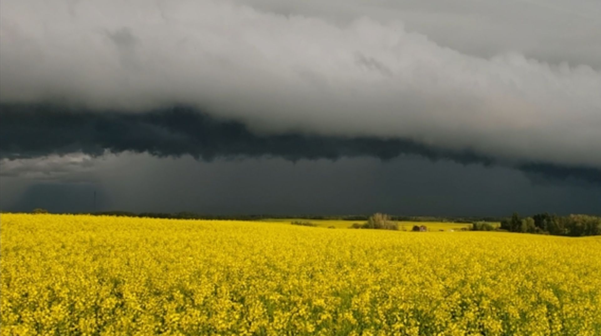 Conducive conditions for severe storms remain at play on the Prairies ...