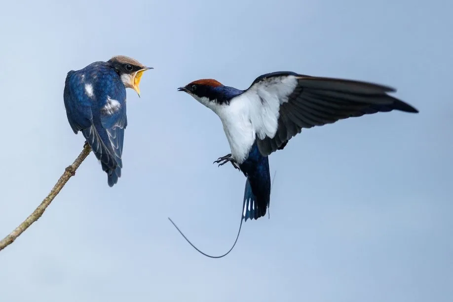 Experts didn't trust Earth's fastest wind speed datum because it was so ...
