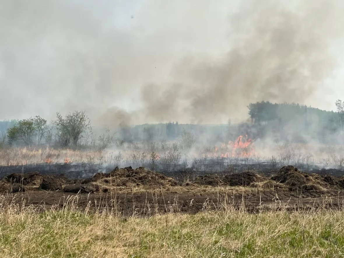 Indigenous communities turn to prescribed burns to protect land from ...