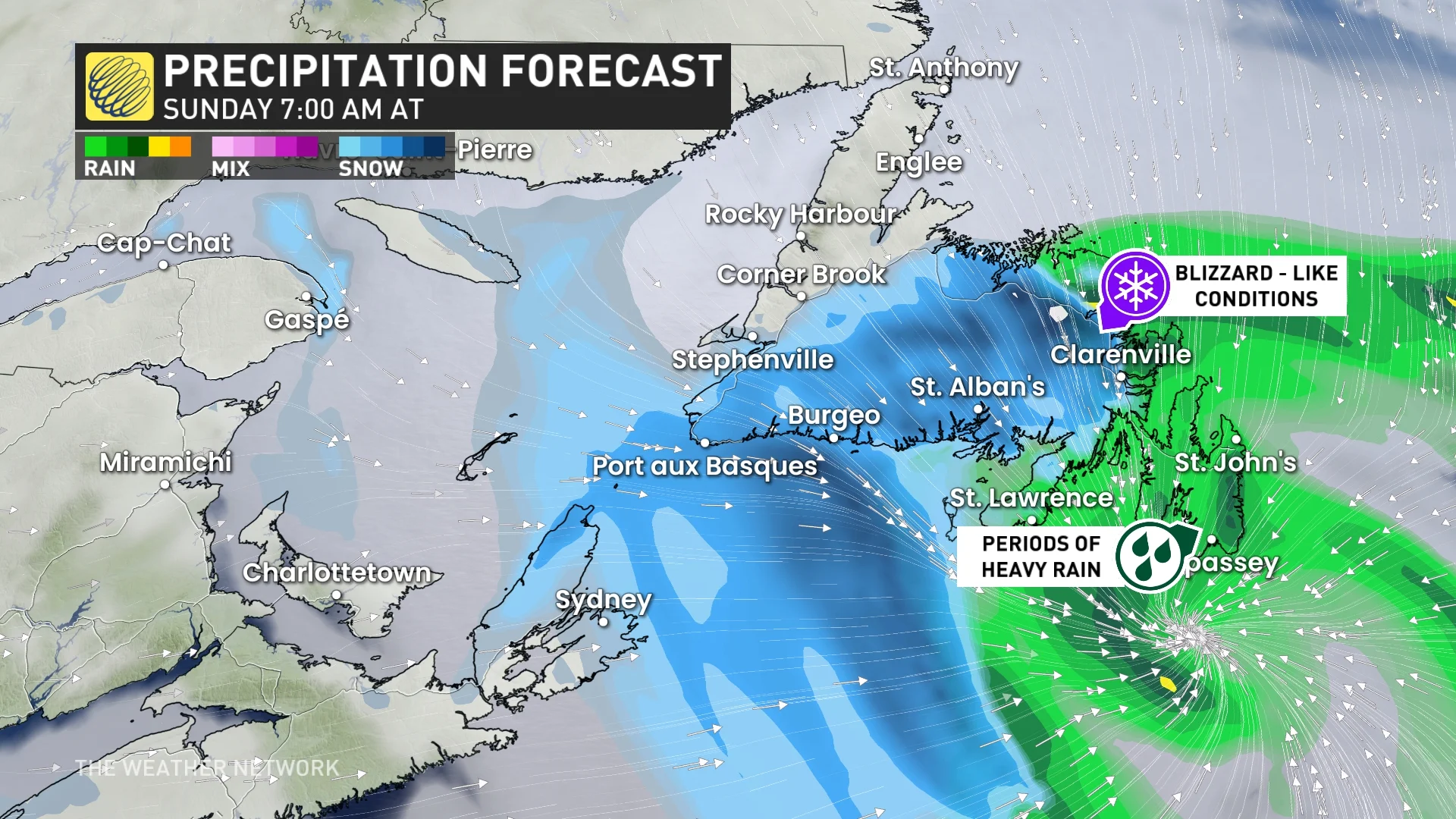 Dynamic weather bomb threatens Newfoundland with high-impact weather - The Weather Network
