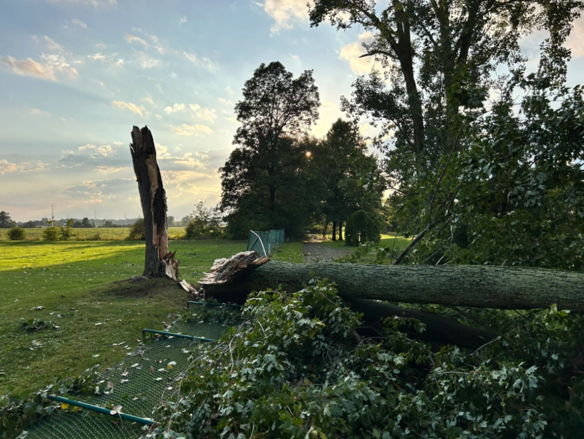 2024 confirmed as costliest year on record for weather disasters in ...