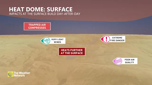 Talking about the warmth? Add heat dome to your vocabulary, here's why ...