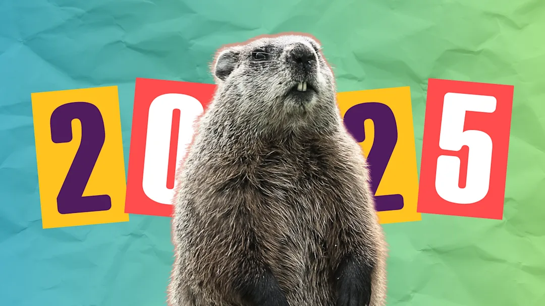 2025 Groundhog Day results: See them here! - The Weather Network