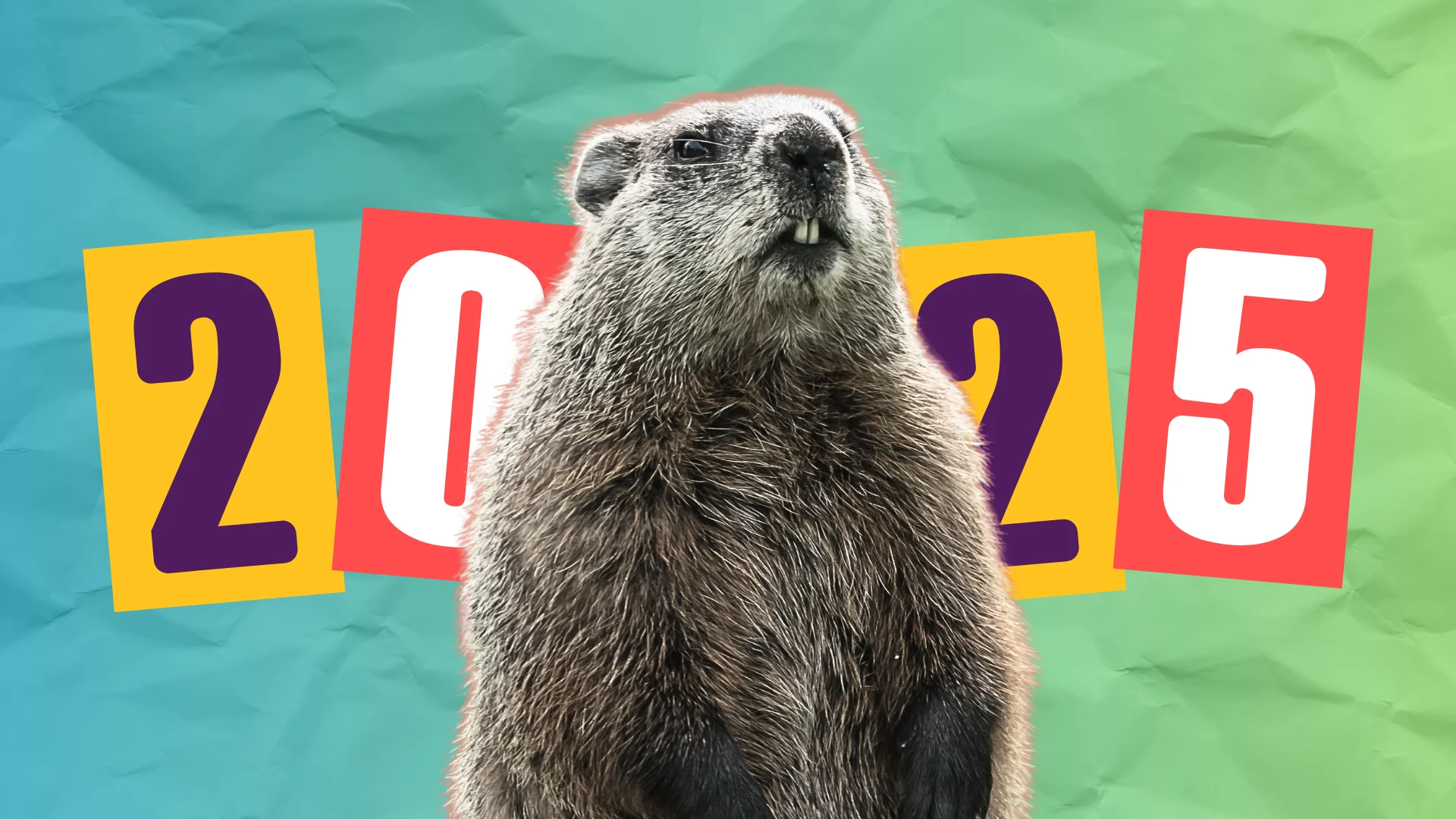 2025 Groundhog Day results: See them here! - The Weather Network